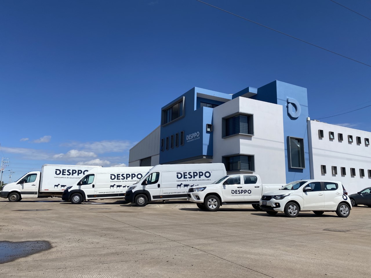 Inicio | Grupo DESPPO